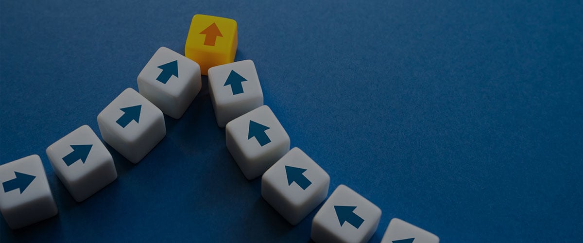 How Do Roll-Up Strategies Transform Fragmented Markets?